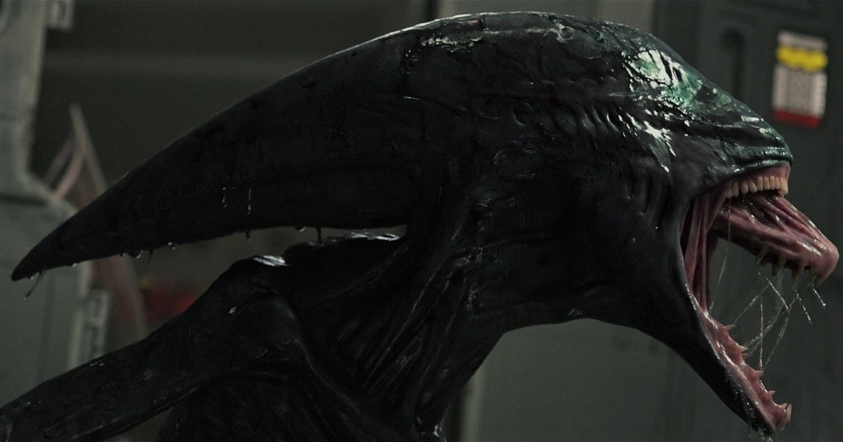 Prometheus Alien Vs Predator