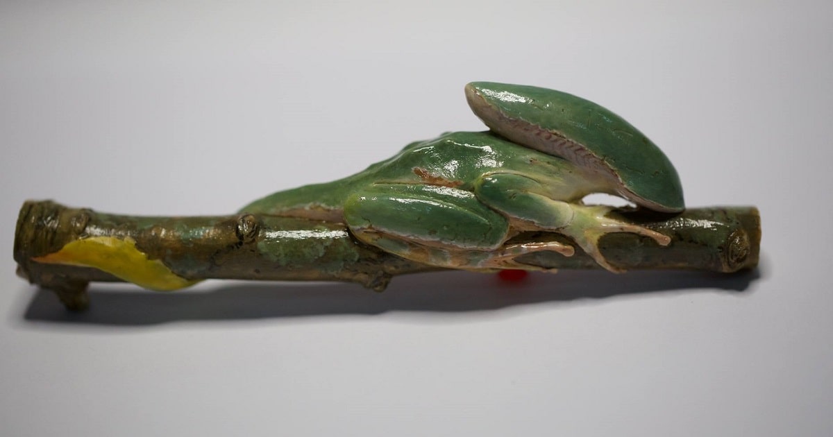 The Xenomorph Frog: The Smallest Terror | AvP Central