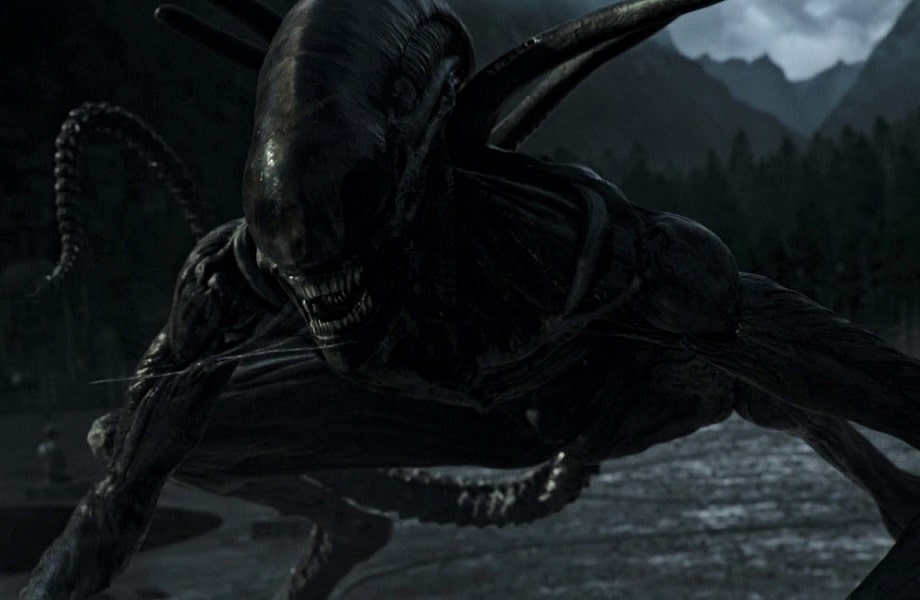 Xenomorph Types: Alien Lifecycle And All Variants | AvP Central