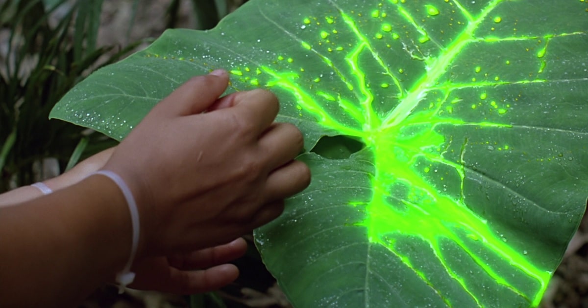 Yautja Blood: The Hidden Properties Of Predator Blood | AvP Central